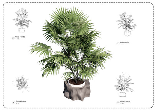 M Plant 53 Vase Revit Scalable | RevitImport