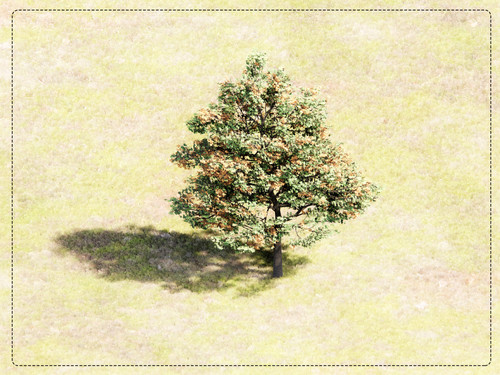 Tree Revit 01 High Quality | RevitImport