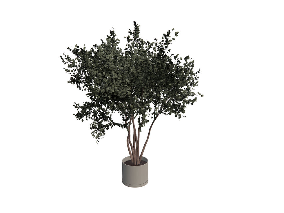 Plant 53 Block Family Revit | RevitImport