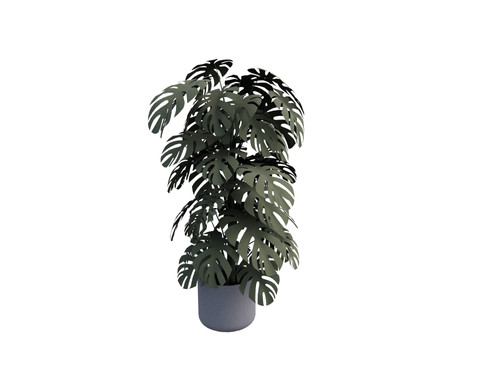 M Plant MONSTERA Family Revit Blocks | RevitImport