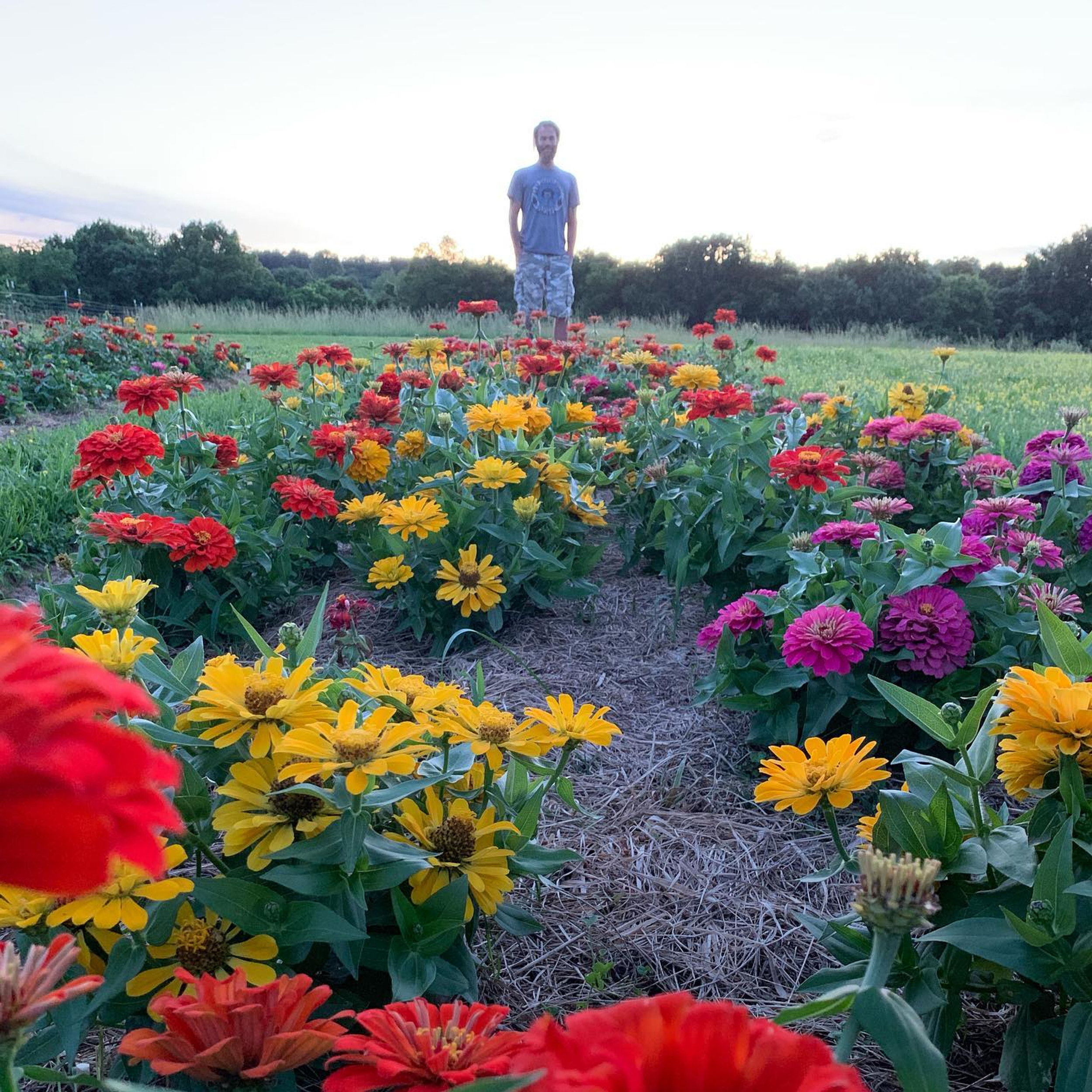 Jordan Farms Tennessee