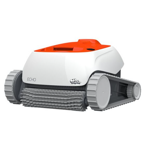 Dolphin Echo | Valentines