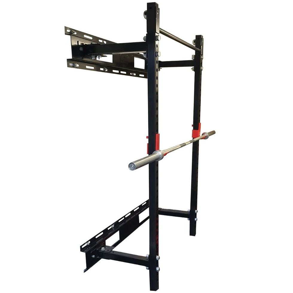 Rebel RSW-120 Wall-Mount Folding Rack | Rebel Strength | GB