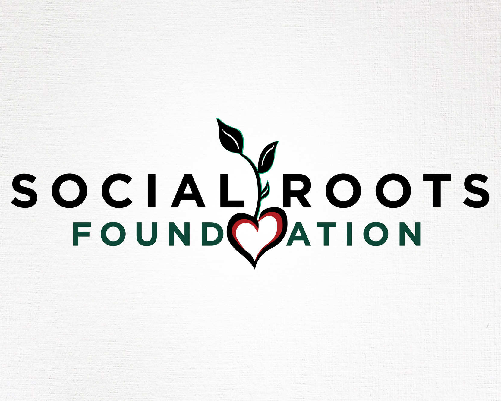 Programs | Social Roots Foundation