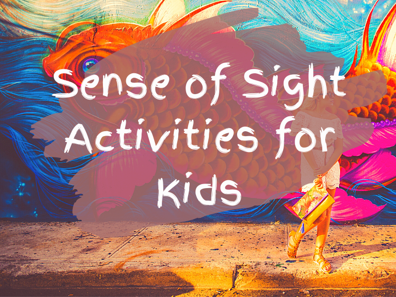 Sense of Sight Activities