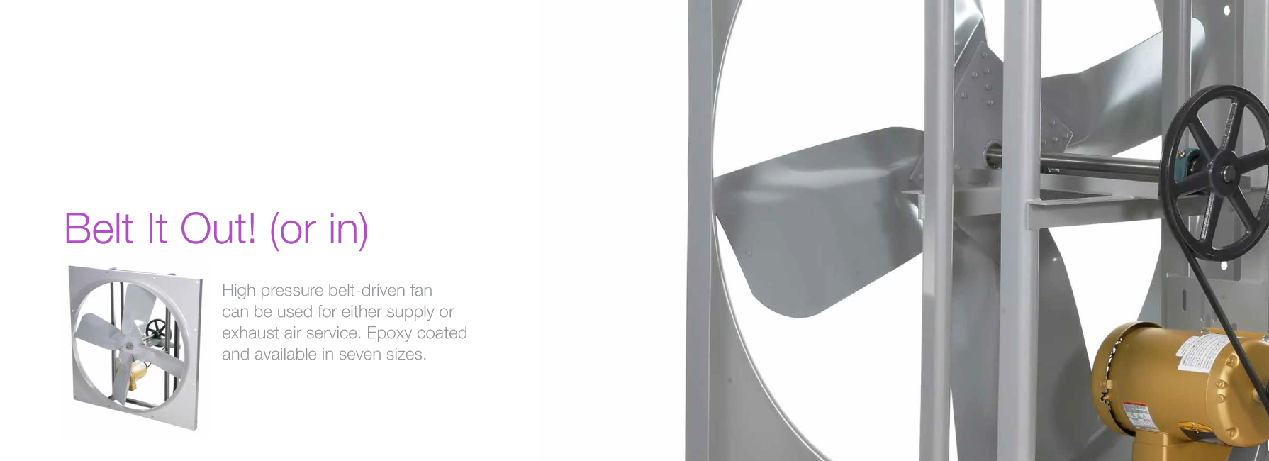 Air Movement Specialist | Airmaster Fan