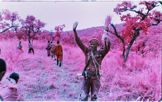 richard mosse infrared congo