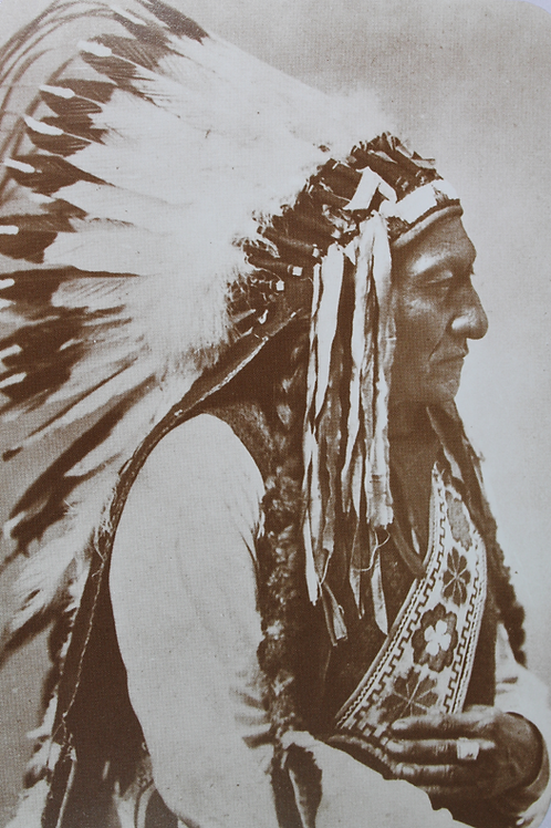 Chief Sitting Bull in full headdress | garstmuseum-1