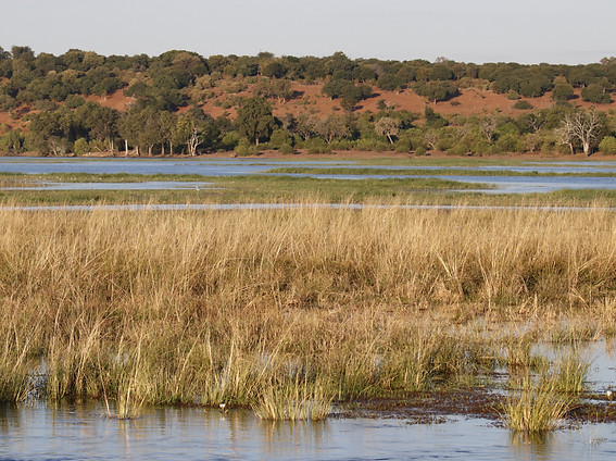Munga Plains | Safari-Eco Lodge | Campsite | Chobe District