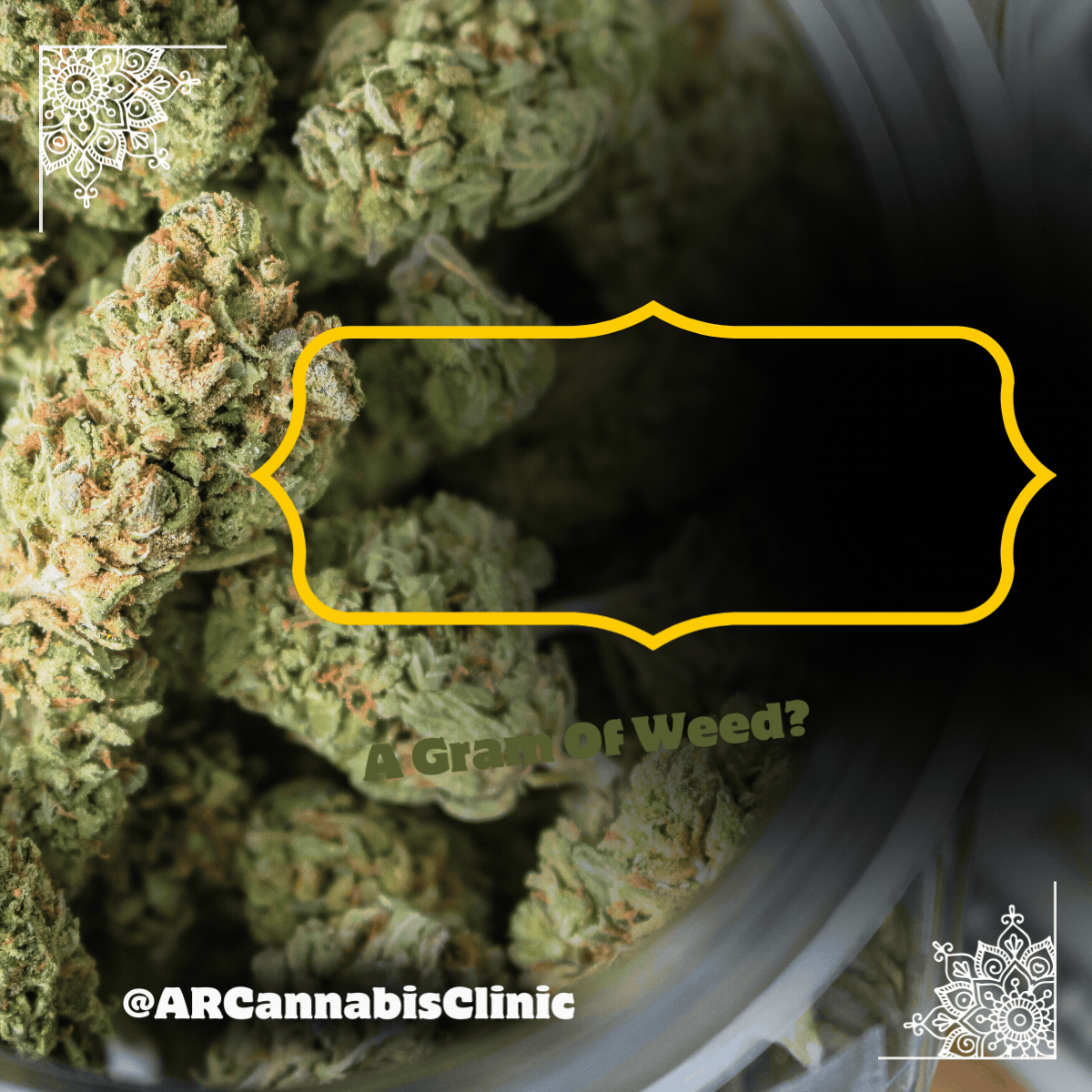 Marijuana Price: What Is The Cost Of A Gram Of Weed?