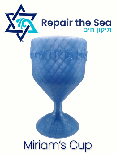 Miriam's Cup | Tikkun HaYam