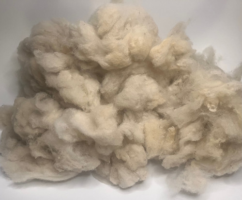 Southdown - scoured wool | Woolgathering