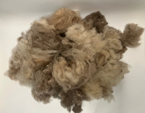 Shetland - Core wool - scoured wool | Woolgathering