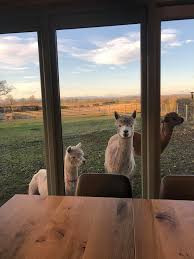 Digital Skills | A1 Community Works Ltd. | Northallerton