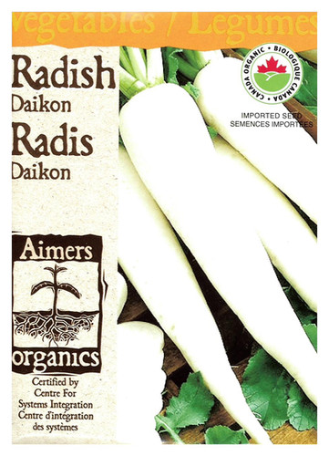 Radis Daikon | Jardin Trouvailles