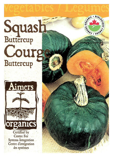 Courge Buttercup | Jardin Trouvailles