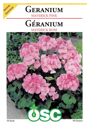 Géranium Maverick rose | Jardin Trouvailles
