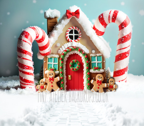 Fun Giant Candy Canes House | tinyatelierbackdrops