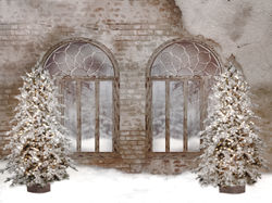 Uk Backdrops | Tiny Atelier Backdrops