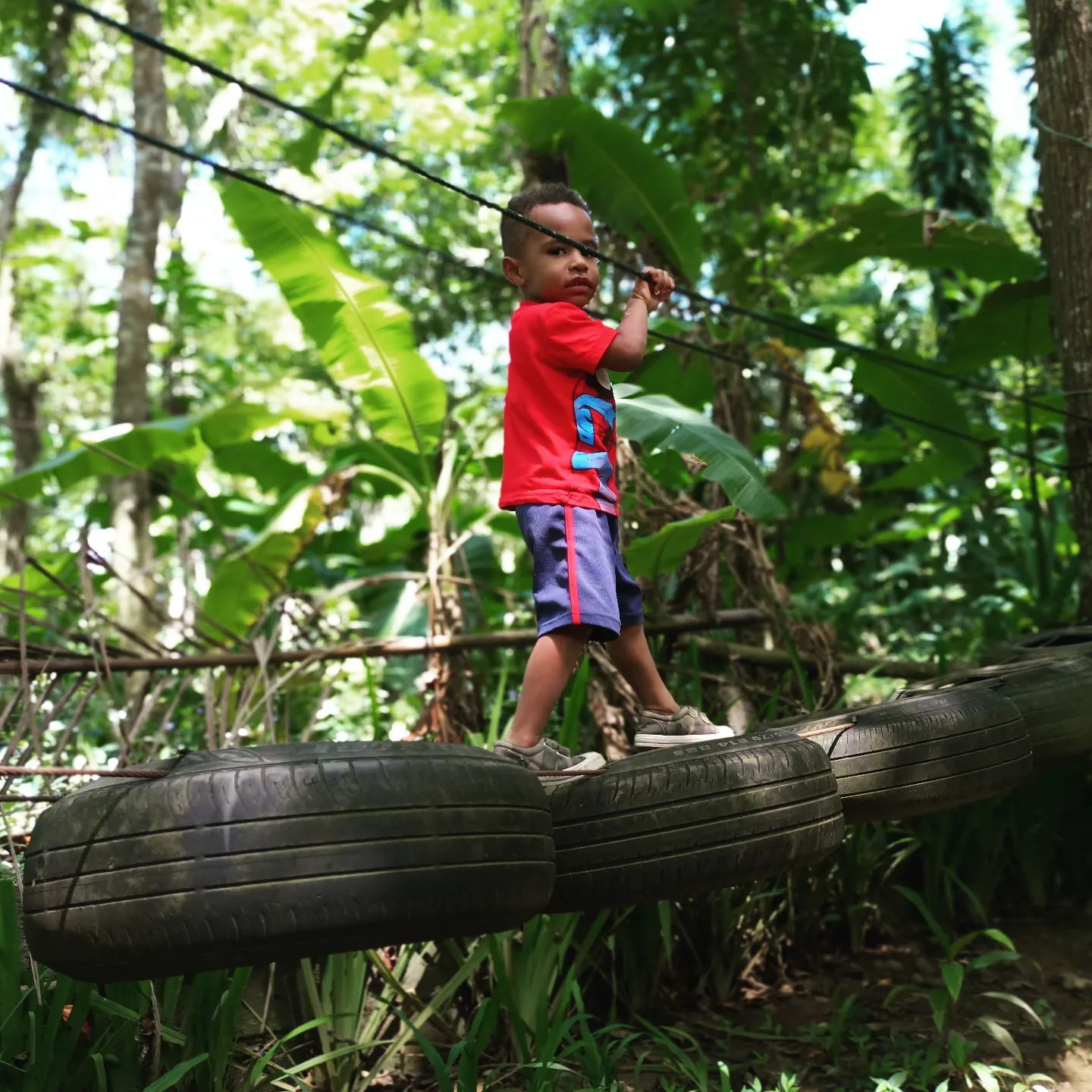 Summer Camp | Jungle School Salati