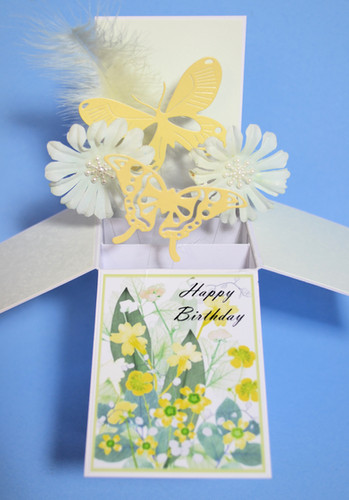 Ladies Birthday Card | C K Cards