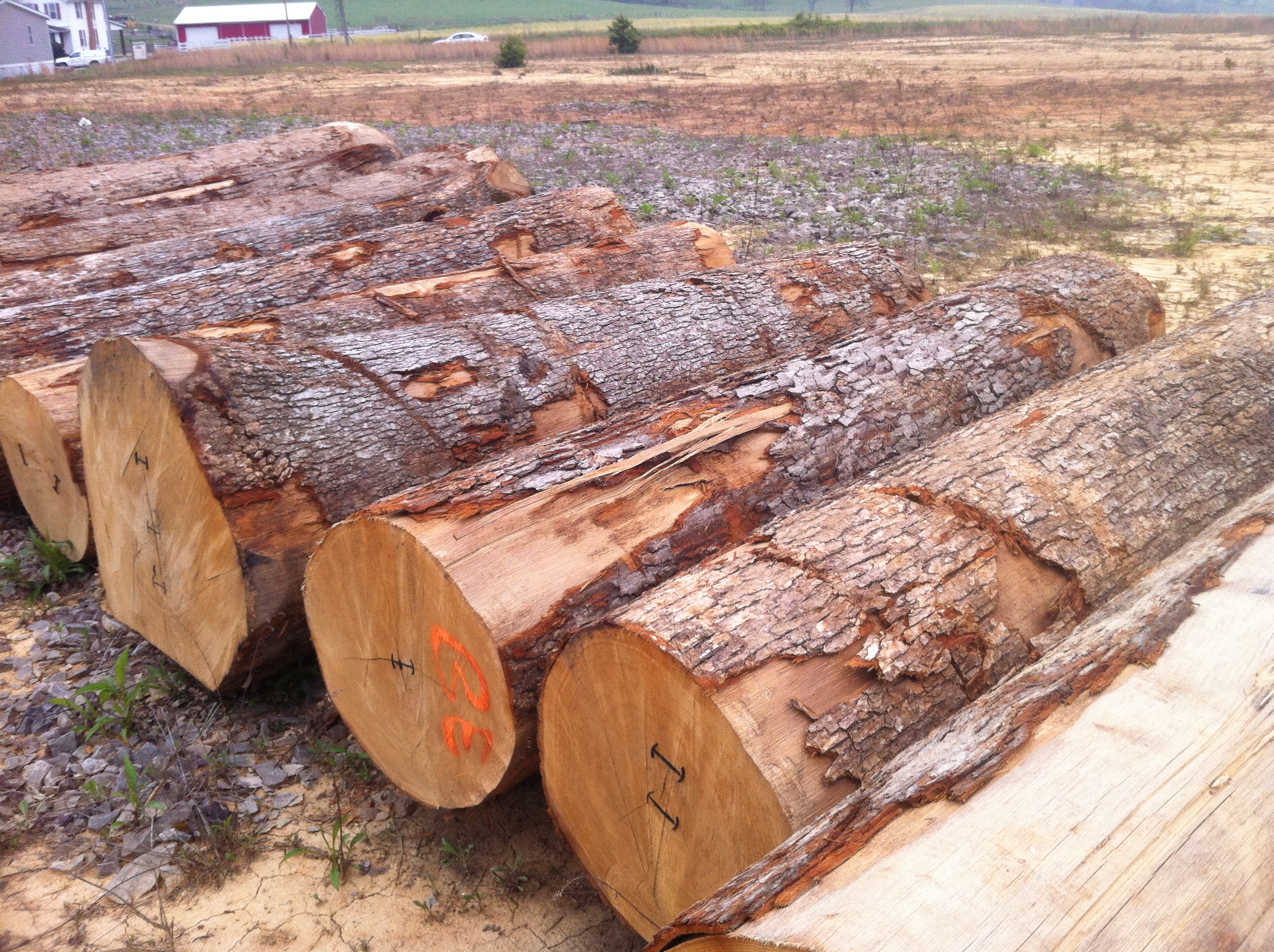 home | djm-hardwoods