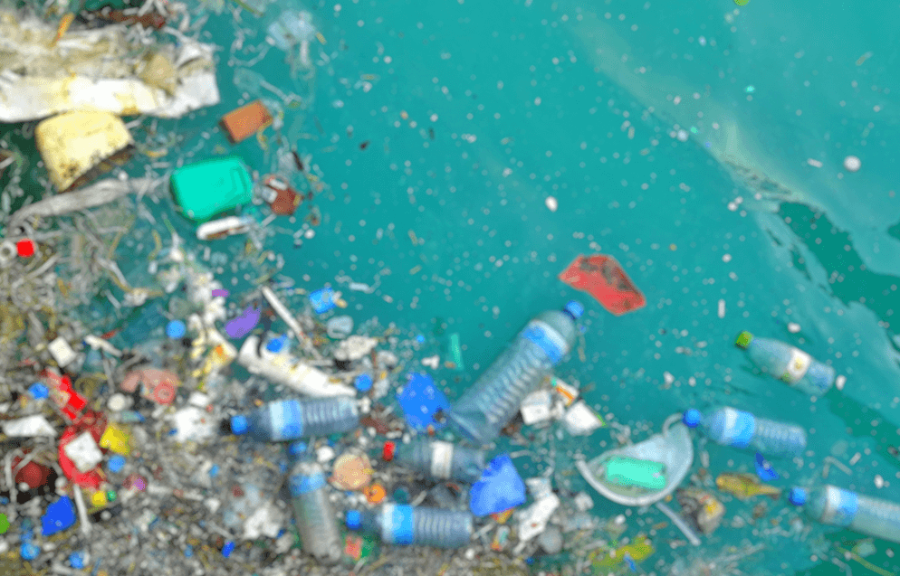 Ban on single-use plastic