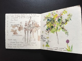 Art Classes and Workshops | Washington Studio School | Washington DC