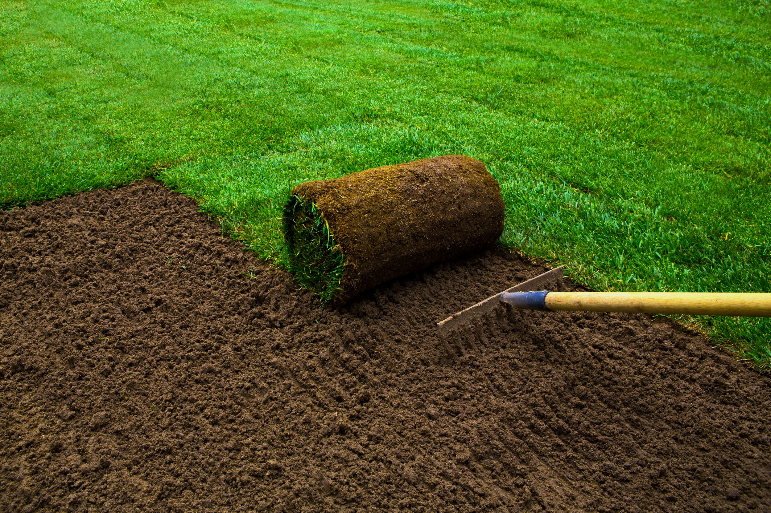 Sod Installation Steps | Castro Rivera LLC | Long Island, New York