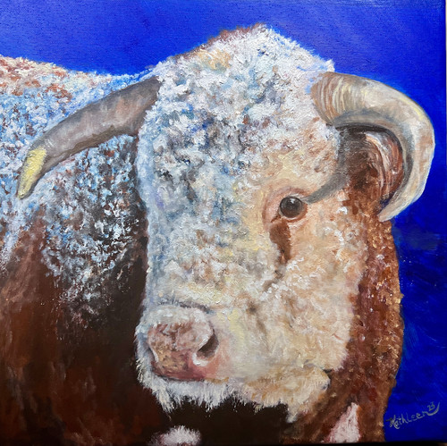 “Chester” original oil 12x12 | kathleenbuchananarti