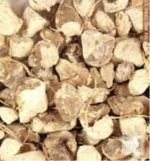 barbasco - wild yam root | hierbasmedicinalesus