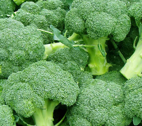 Broccoli Heads 500g | Bonitas Wholefoods