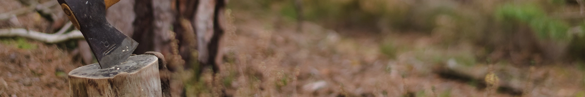 Axe Throwing Team Building