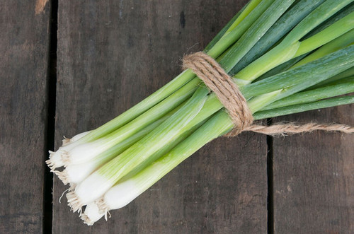 Green Onions | WNC Urban Farms