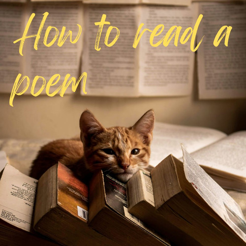 #03 How to Read a Poem | Cat Woodward