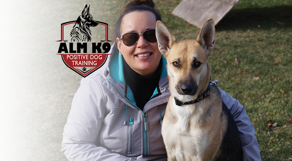 ALM K9 Positive Dog Training