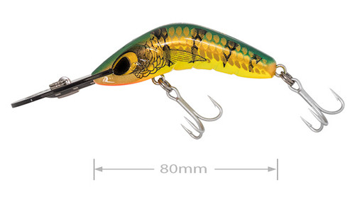 B80D Boomerang | PredatekAustralia