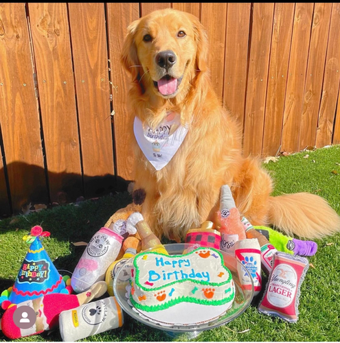 Custom Dog Cakes | JudyPie (Main Page)