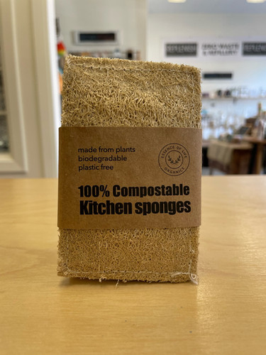 Compostable Kitchen Sponge - 2pk | Replenish Refillery