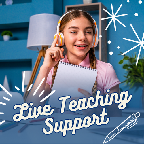 Lite Teaching Support | FunCation Academy