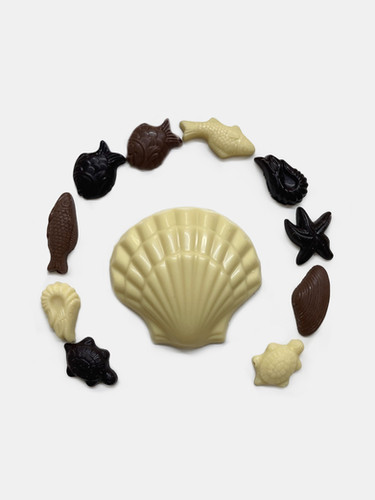White Chocolate Clam 80g | Tobermory Chocolate