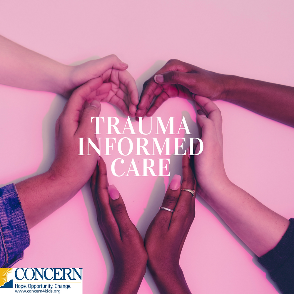 Moving toward agency-wide Trauma-Informed Practices