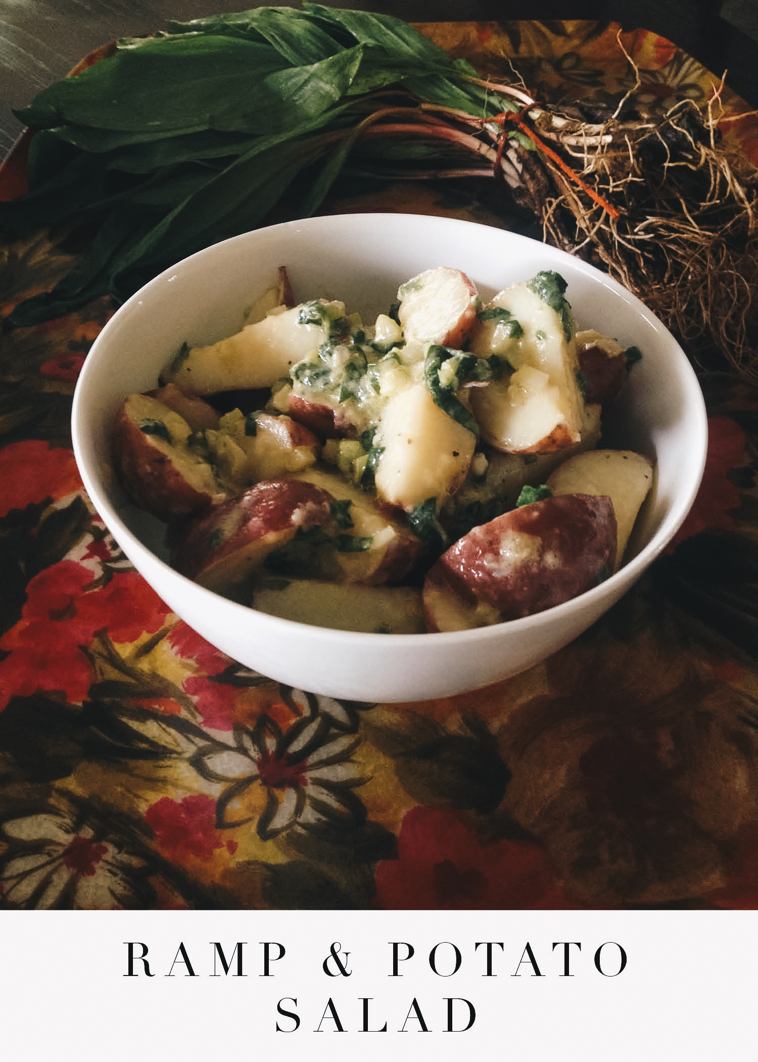 Culinary | Green Door Gourmet | Spring Recipes