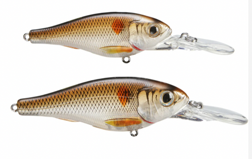 LIVE TARGET KOOPERS SHAD | Pure Performance Marine & Propeller