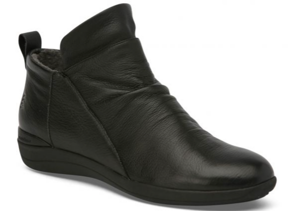 Latest Homyped Catalogue!