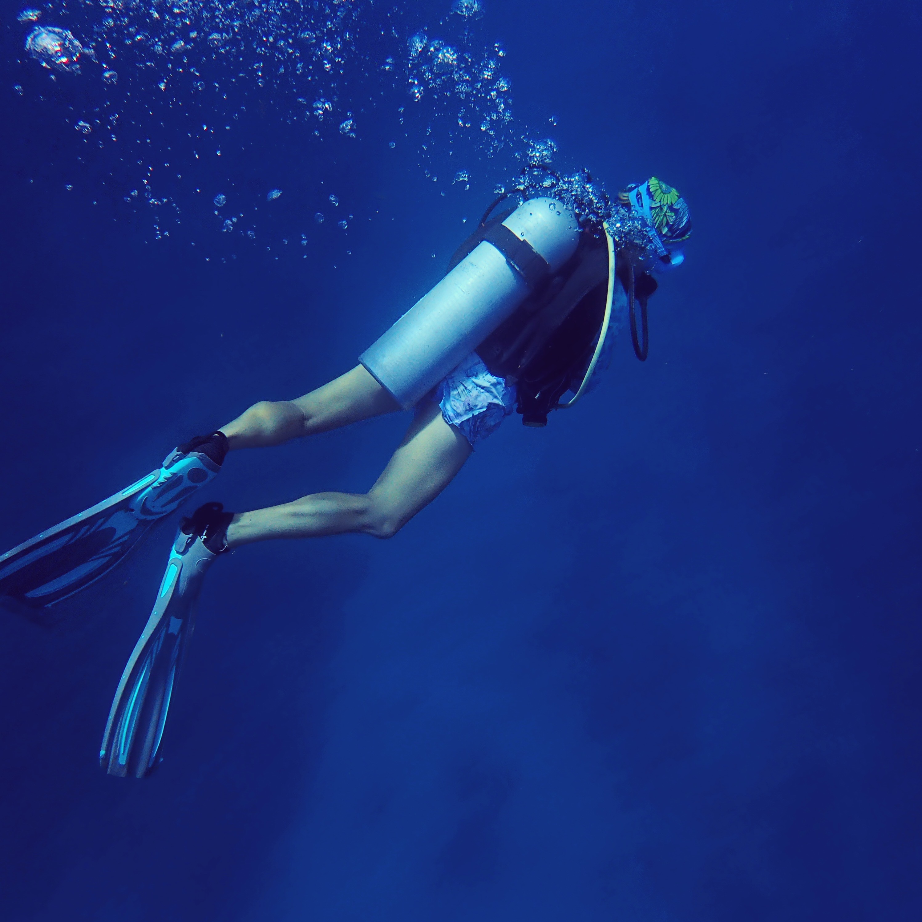 Padi Diving Course | Golden Rock Dive Center | Caribbean Netherlands