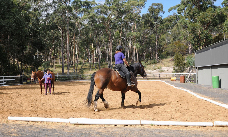 Riding for the Disabled Association of Tasmania