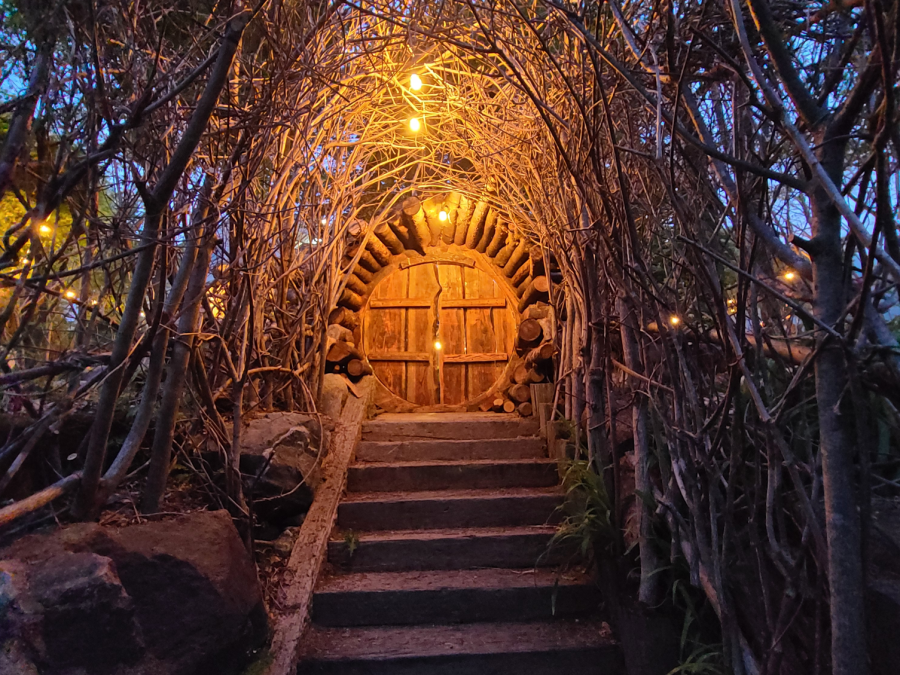 Top 7 Treehouse Style Cabin Pensions and Restaurants in Korea