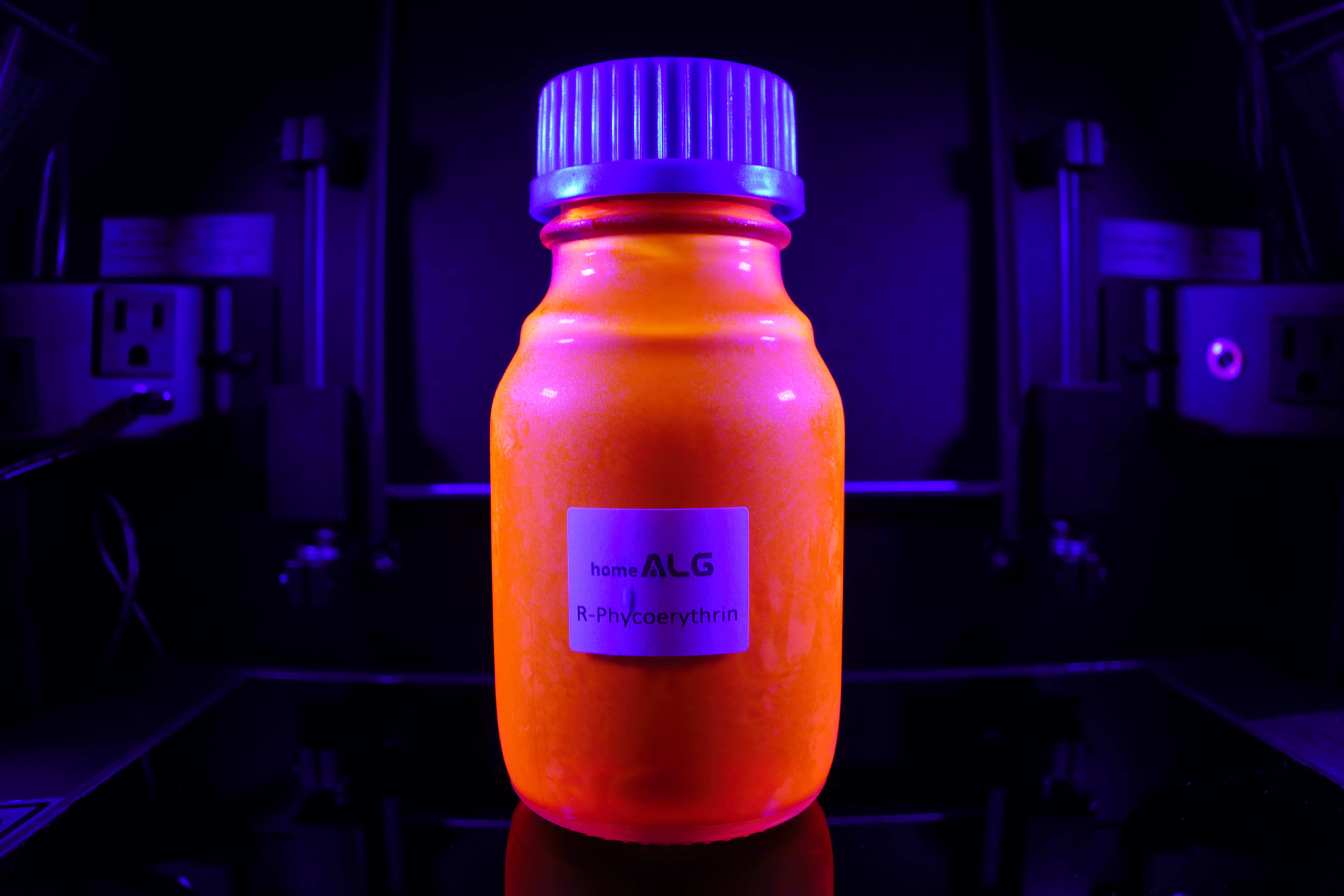 R-Phycoerythrin (R-PE) | Home Algae Biotech - Phycobillion® Platform ...