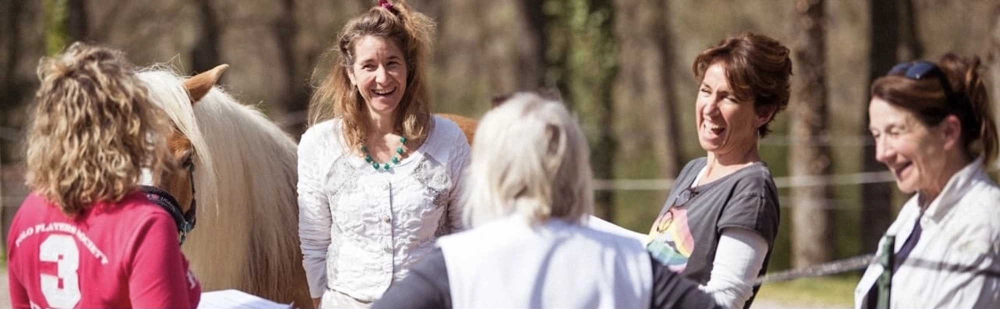 Facilitation Équine | Stéphanie Equi Source | Cours